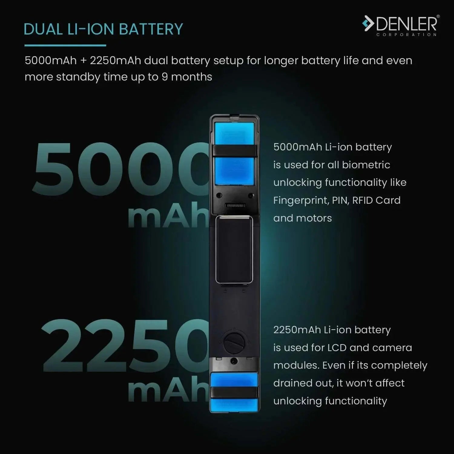 Denler FLv6D Smart Door Lock - Enhanced Security Solutions